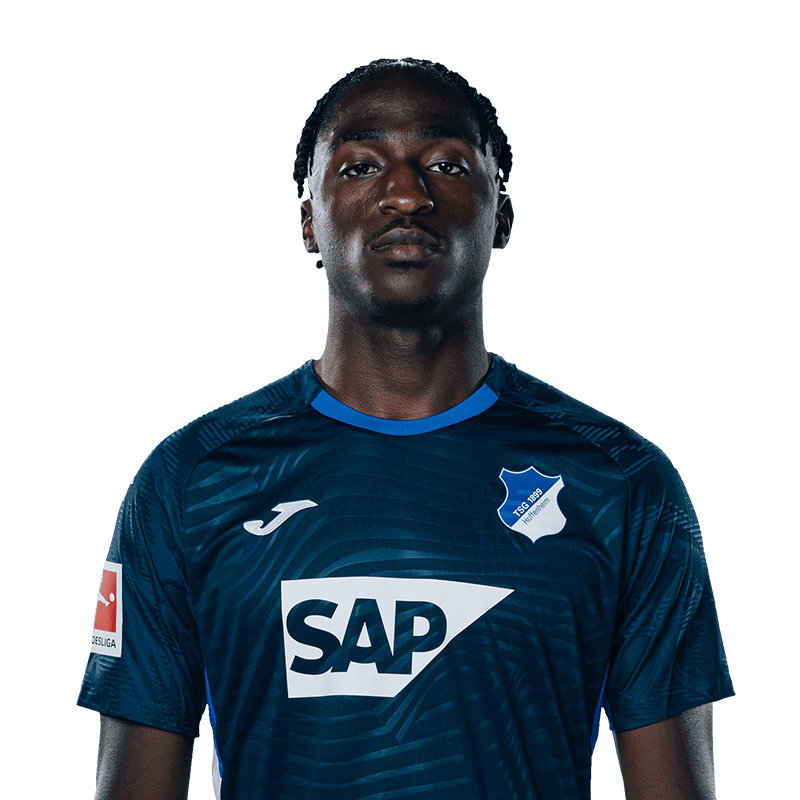 Einzelporträt » TSG Hoffenheim